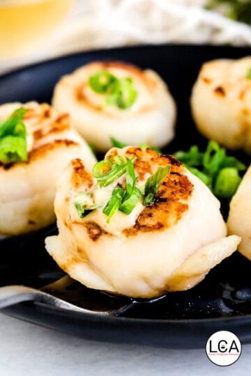 Pan Seared Japanese Style Scallops | 10 Minutes