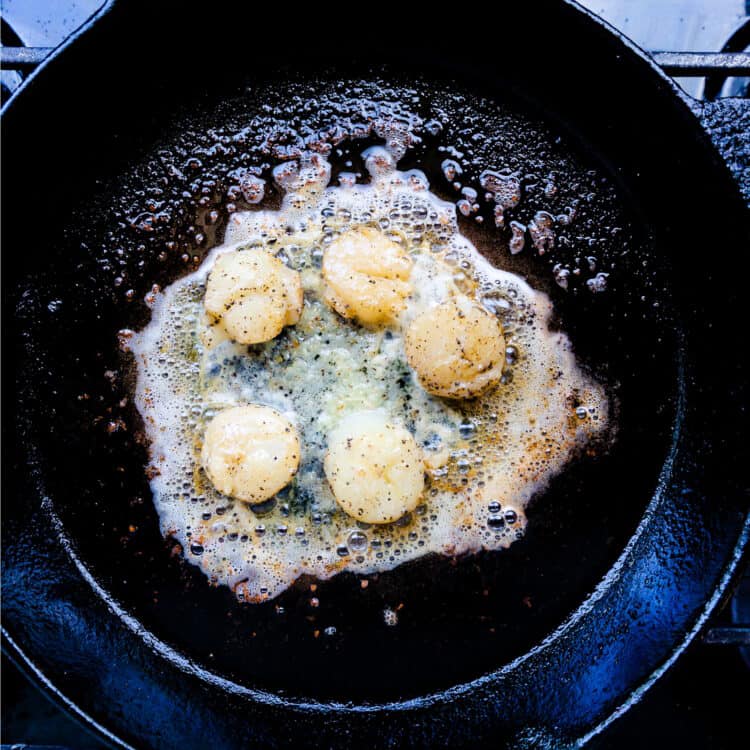 Hibachi Scallops | 7 Minutes