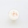 Cheese Foam Milk Tea | 5 Minutes